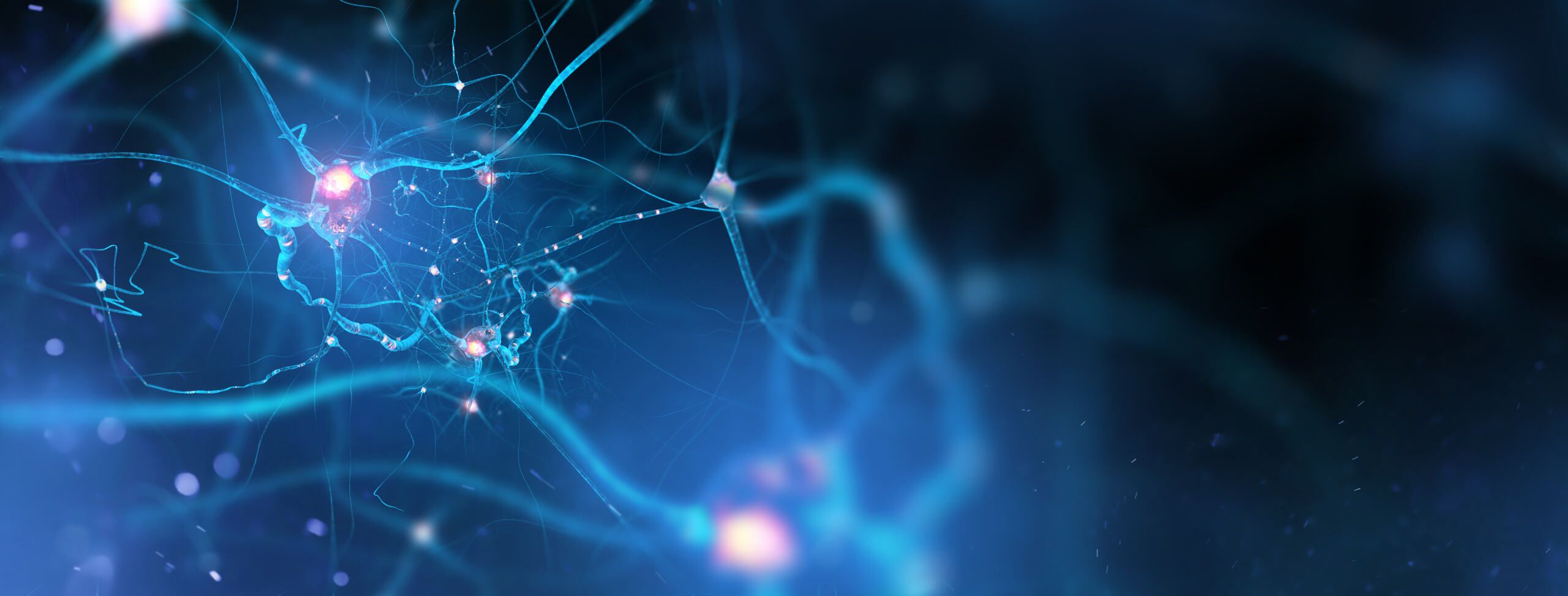 Understanding Nerves | Biomechanics Education